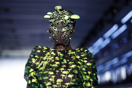 Model On Catwalk Daniel Del Core Editorial Stock Photo - Stock Image ...