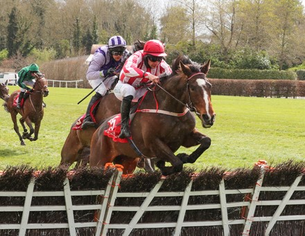 Punchestown Racing Festival, Punchestown Racecourse, Co. Kildare - 29 ...