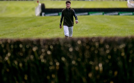 Jockey Tom Harney Walks Course Ahead Editorial Stock Photo - Stock ...