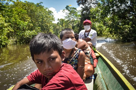 500 Brazilian natives Stock Pictures, Editorial Images and Stock Photos ...