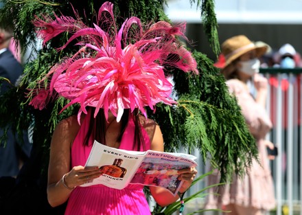 View Churchill Downs Infield Racing Fans Editorial Stock Photo - Stock ...