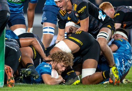 Blues V Chiefs Blues Adrian Choat Editorial Stock Photo - Stock Image ...