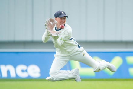 Yorkshires Jonathan Tattersall Takes Catch Dismiss Editorial Stock ...