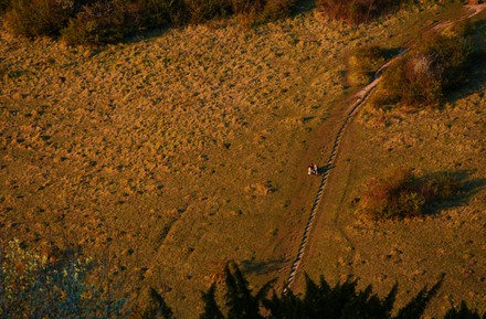 Sunset Box Hill Editorial Stock Photo - Stock Image | Shutterstock