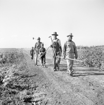 70 African american farm workers Stock Pictures, Editorial Images and ...