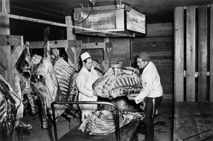 Two Workers Handling Beef Butcher Shop Editorial Stock Photo - Stock ...