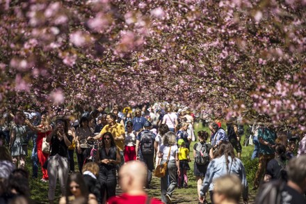 Springtime in Berlin, Germany - 09 May 2021 Stock Pictures, Editorial ...