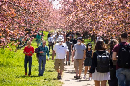 Springtime in Berlin, Germany - 09 May 2021 Stock Pictures, Editorial ...