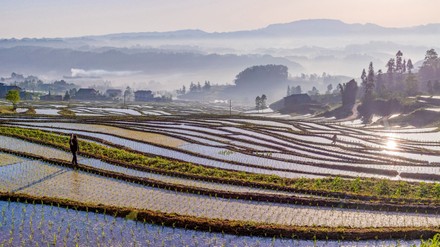 On May 9 2021 Villagers Yanjing Editorial Stock Photo - Stock Image ...