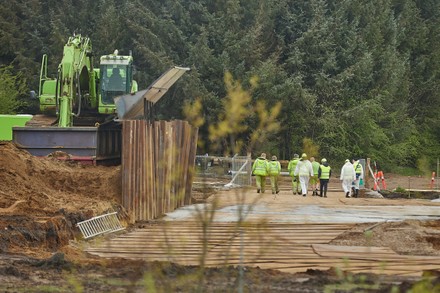 Buried Minks Being Dug Out Trial Editorial Stock Photo - Stock Image ...