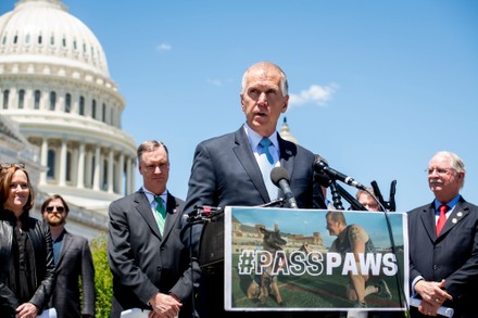 59 Paws act Stock Pictures, Editorial Images and Stock Photos ...