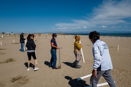 Owner Bathing Beach Workers Place Poles Editorial Stock Photo - Stock ...