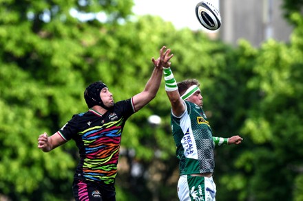 imágenes de Guinness PRO14 Rainbow Cup, Stadio Comunale Monigo, Treviso ...