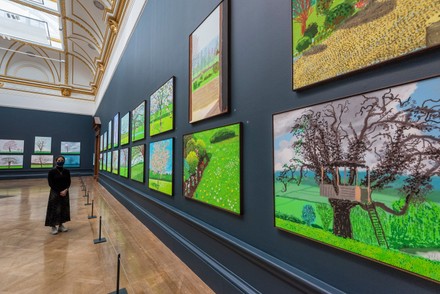 David Hockney: The Arrival of Spring, Normandy, 2020 exhibition preview ...