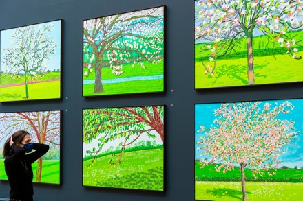 David Hockney: The Arrival of Spring, Normandy, 2020 exhibition preview ...