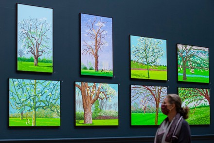 David Hockney: The Arrival of Spring, Normandy, 2020 exhibition preview ...