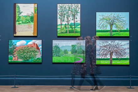 David Hockney: The Arrival of Spring, Normandy, 2020 exhibition preview ...
