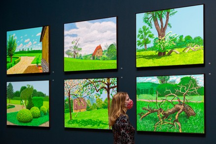 David Hockney: The Arrival of Spring, Normandy, 2020 exhibition preview ...