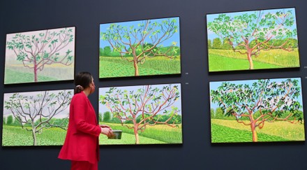 David Hockney - The Arrival of Spring, Normandy exhibit opens in London ...