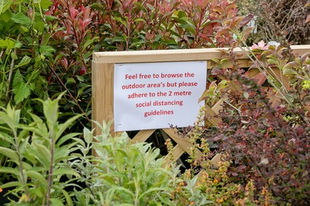 imágenes de Studley Green Garden Centre reopens, UK - 13 May 2020 ...