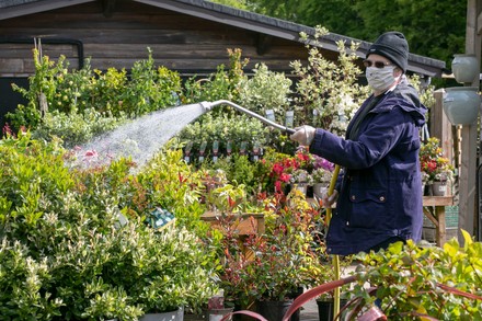 imágenes de Studley Green Garden Centre reopens, UK - 13 May 2020 ...