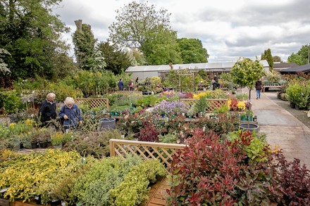 imágenes de Studley Green Garden Centre reopens, UK - 13 May 2020 ...