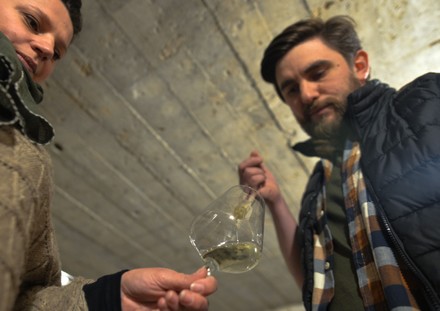 Joanna Marcin Amonit Vineyard Seen Testing Editorial Stock Photo ...
