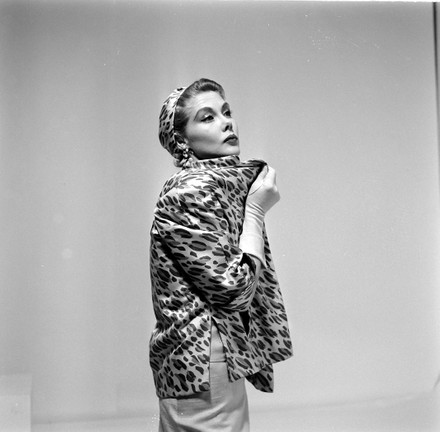 10 Trend leopard print Stock Pictures, Editorial Images and Stock ...