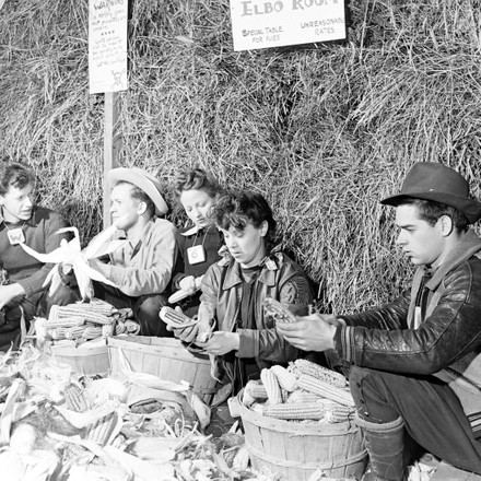 19 Corn husking contest Stock Pictures, Editorial Images and Stock ...