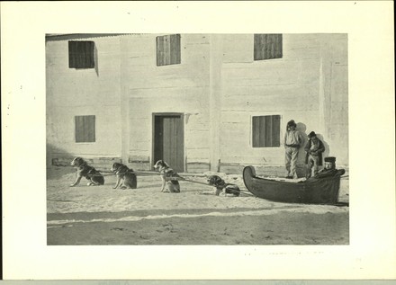 4 Tra anim dog Stock Pictures, Editorial Images and Stock Photos ...