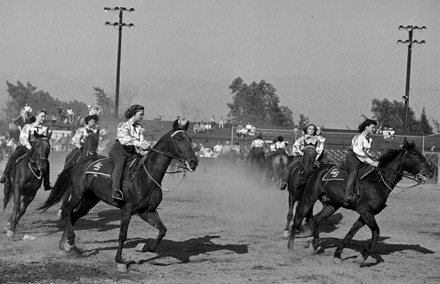 500 1940s horse racing Stock Pictures, Editorial Images and Stock ...