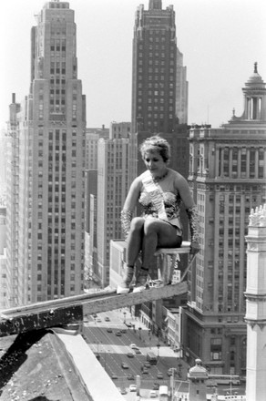 Betty Fox Sitting On Narrow Plank Editorial Stock Photo - Stock Image ...