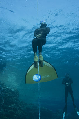 4 Mono fins Stock Pictures, Editorial Images and Stock Photos ...