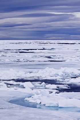 Open Leads Surrounded By Multiyear Ice Editorial Stock Photo - Stock ...