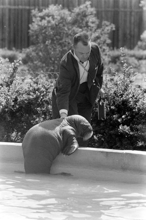 16 Coney island zoo Stock Pictures, Editorial Images and Stock Photos ...