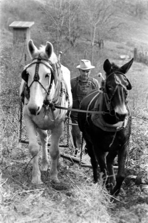 3,000 1950s farm Stock Pictures, Editorial Images and Stock Photos ...