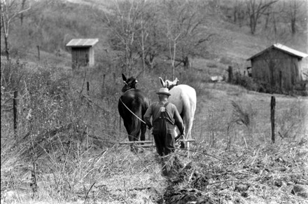 3,000 1950s farm Stock Pictures, Editorial Images and Stock Photos ...