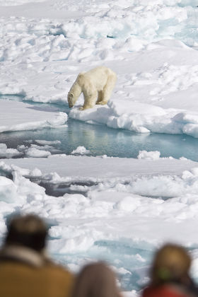 30 Exploring the arctic Stock Pictures, Editorial Images and Stock ...