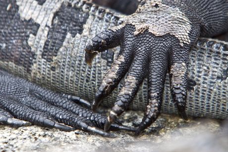 250 Archipeligo Stock Pictures, Editorial Images and Stock Photos ...