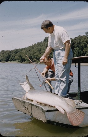 Gar Fishing, USA Stock Pictures, Editorial Images and Stock Photos ...