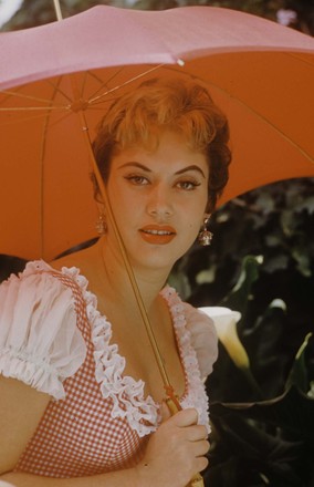 Mexican Actress Ana Bertha Lepe Holding Editorial Stock Photo - Stock ...