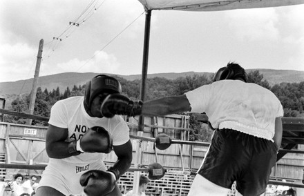 Boxer Archie Moore Training Grossingers Training Editorial Stock Photo ...