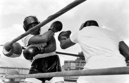 Boxer Archie Moore Sitting Grossingers Training Editorial Stock Photo ...