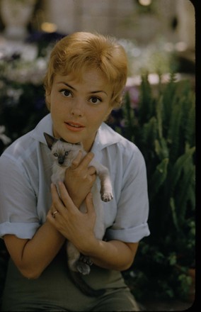 French Actress Christine Carere 1958 Editorial Stock Photo - Stock ...