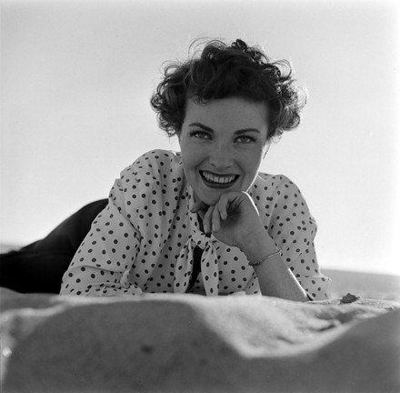 45 Paula raymond Stock Pictures, Editorial Images and Stock Photos ...