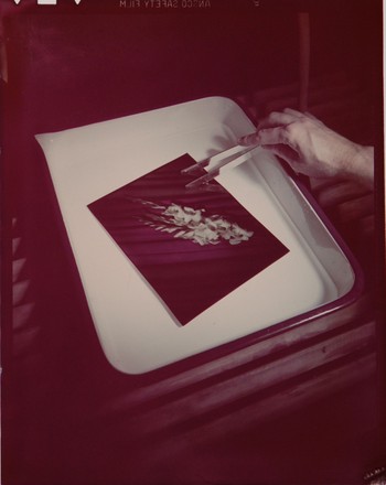 Ansco Color Showing Film Processing 1944 Editorial Stock Photo - Stock ...