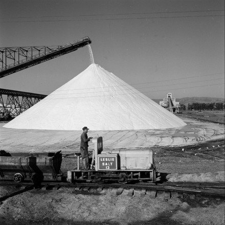 16 Leslie salt company Stock Pictures, Editorial Images and Stock ...