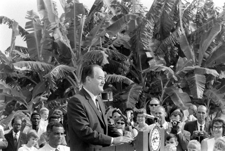 Vice President Hubert Horatio Humphrey Junior Editorial Stock Photo ...