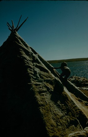 9 Tupiq Stock Pictures, Editorial Images and Stock Photos | Shutterstock