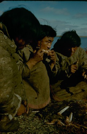 Indigenous People Eating Near Ennadai Lake Editorial Stock Photo ...